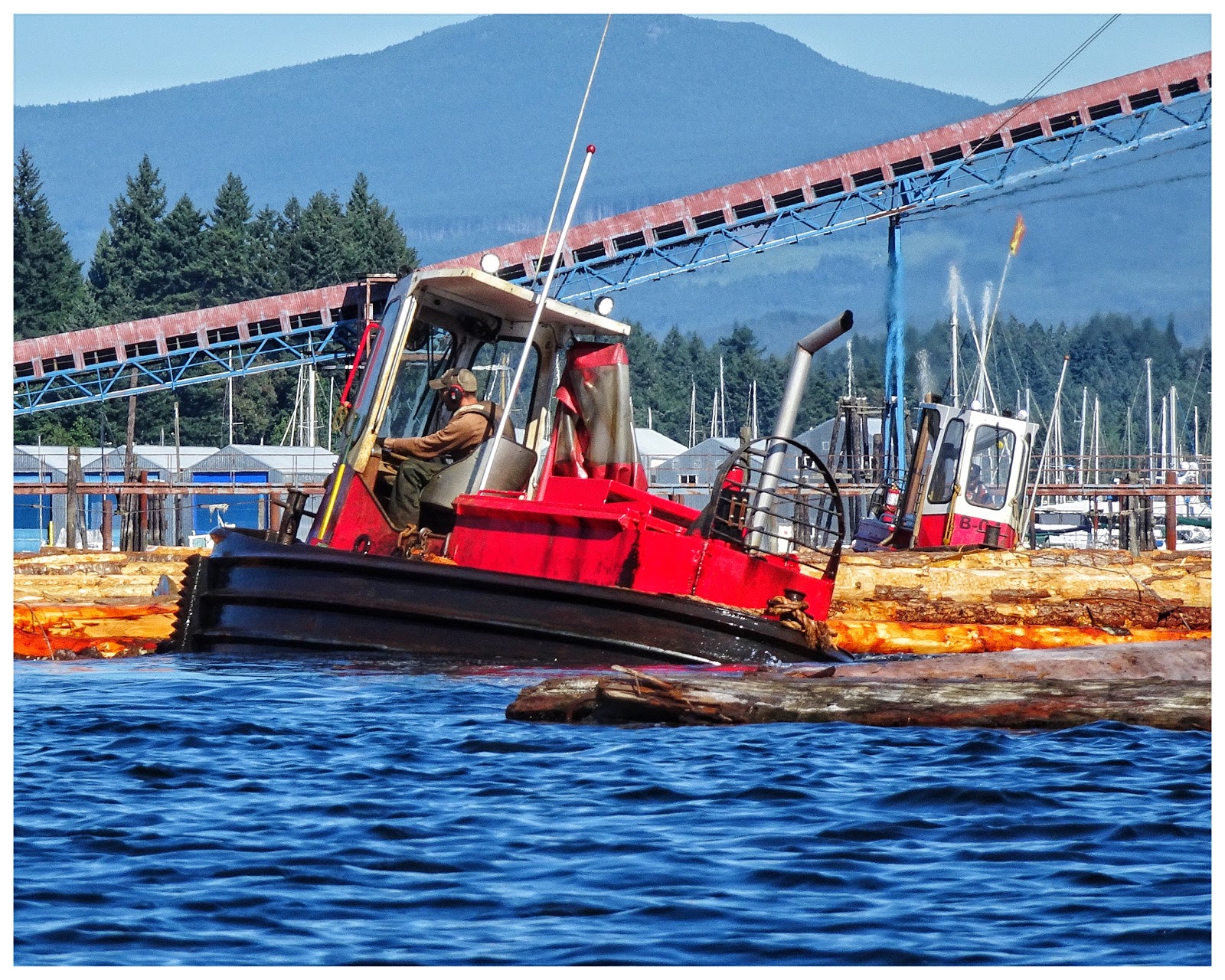 Vancouver Island in Pictures: Ladysmith - Kayaking, Boom Boats, Log Booms