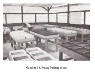 Langkah-Langkah Pembangunan Pembibitan Tanaman Hutan BAG 7 - Our Akuntansi