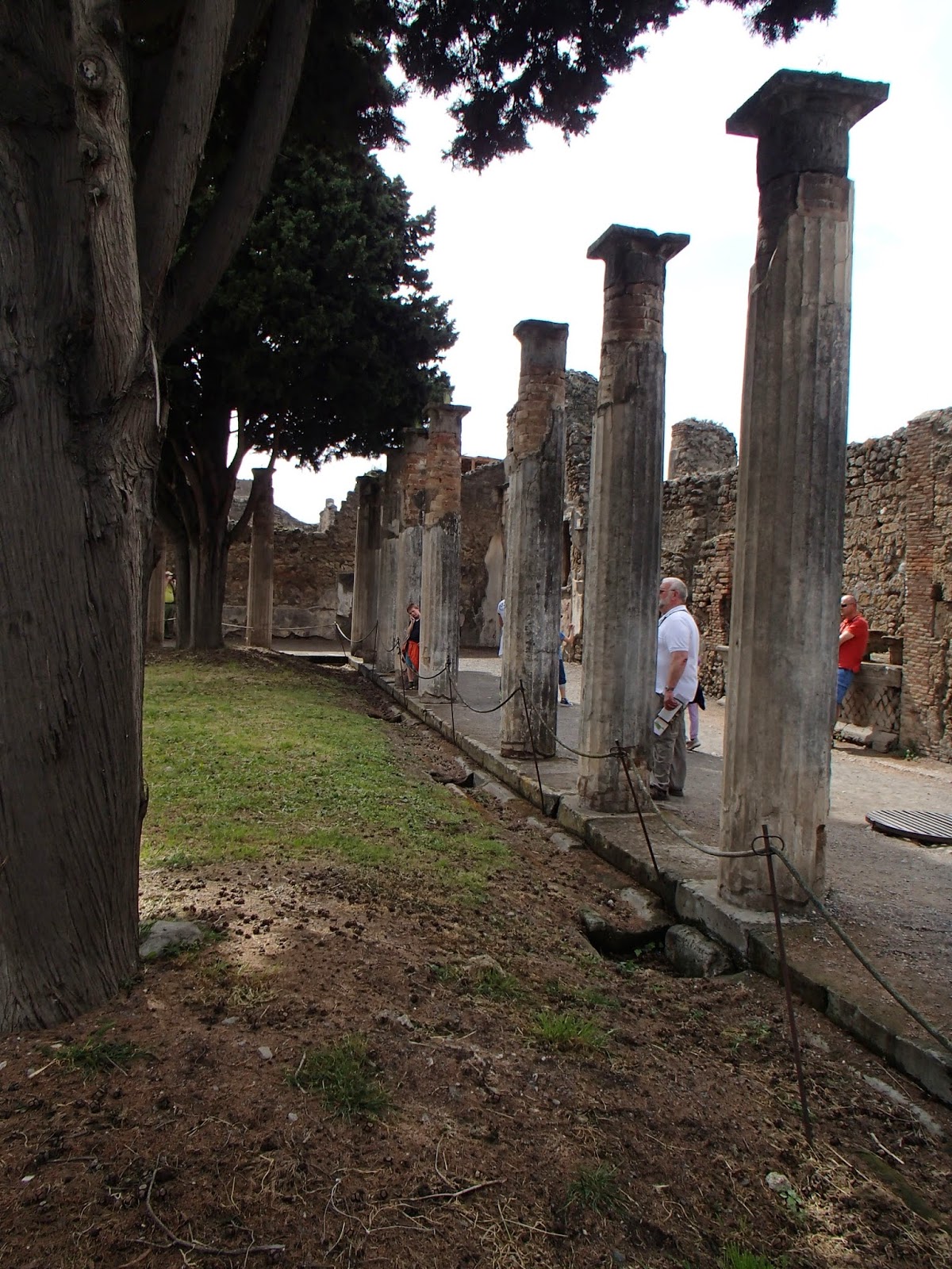 The Path of Adventure: Mt Vesuvius and Pompeii