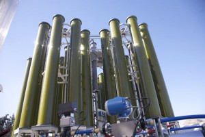 L'algocarburant est-il un biocarburant viable capable de remplacer le ...