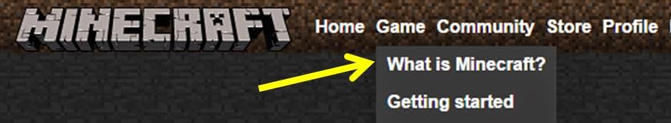 From @BalancingMama: The #Minecraft craze: what IS it?