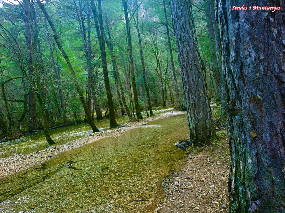 Nacimiento del río Mundo