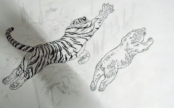 Historical Tiger Lion Fights: Siberian Tiger Kills Brown Bear Illustration