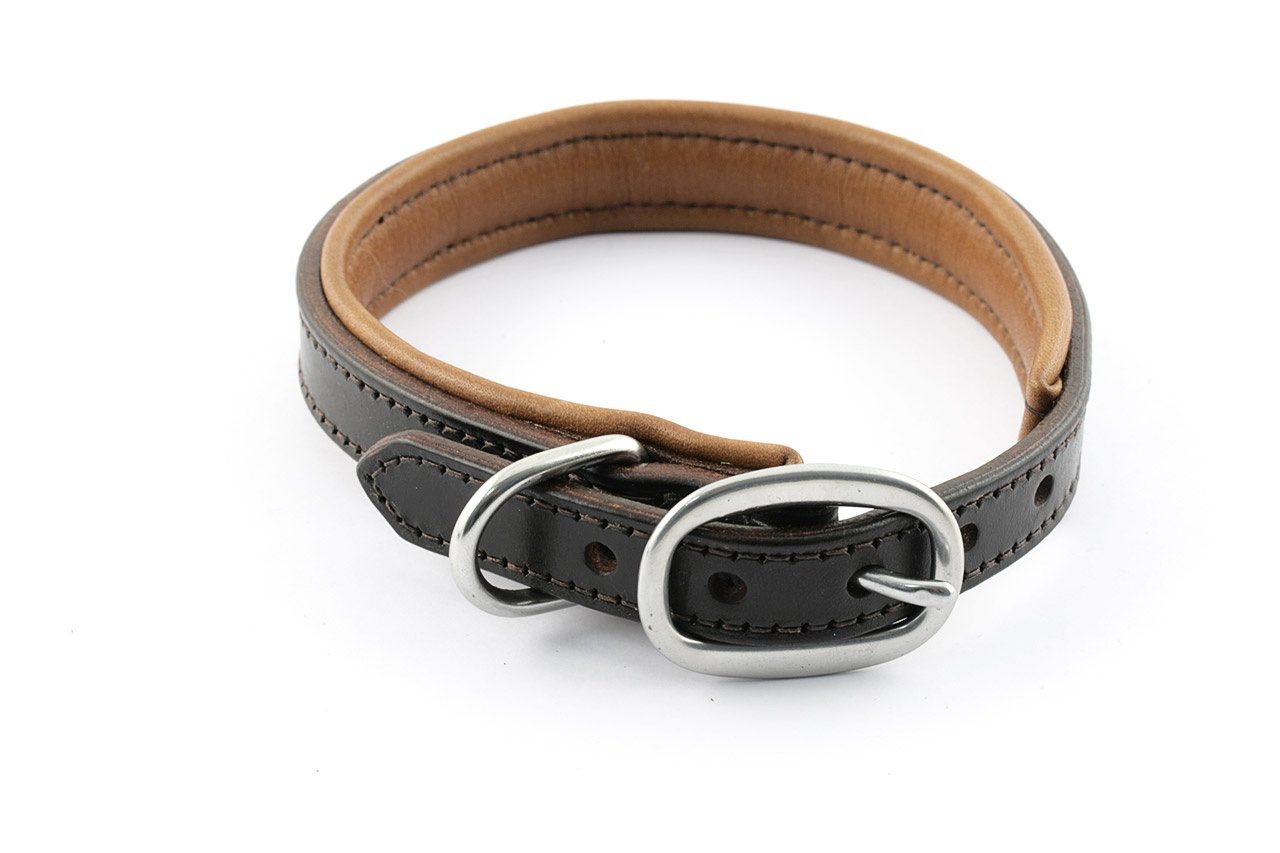 Due collari imbottiti