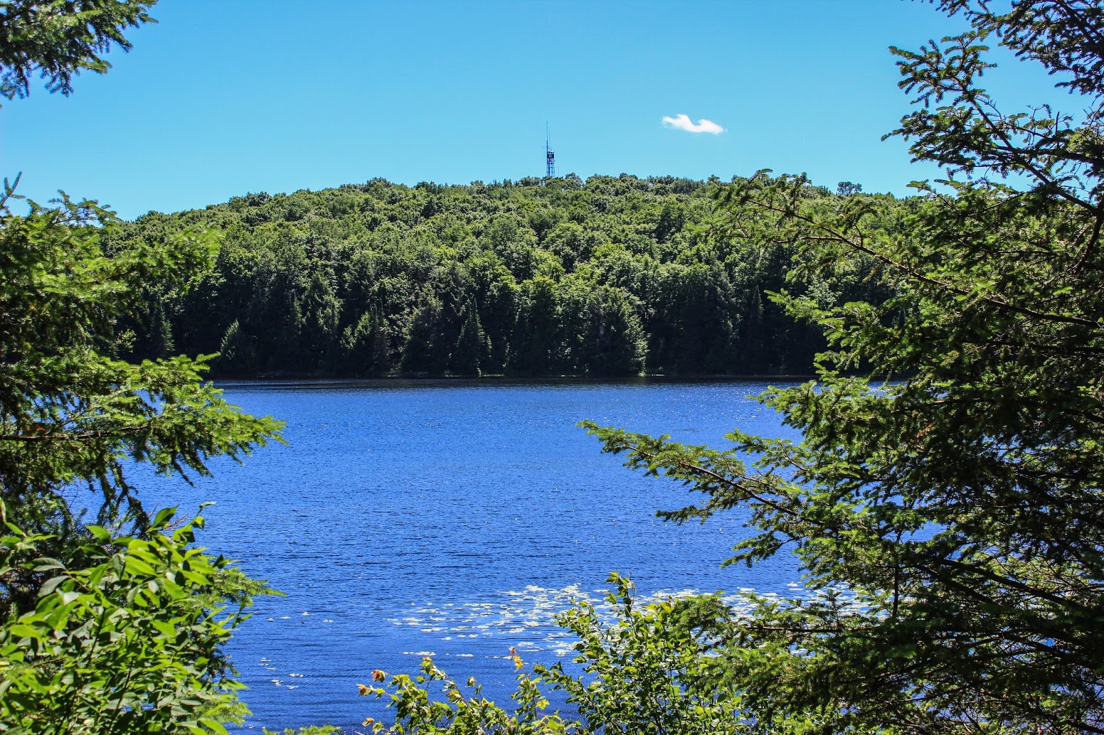 Cannundrums: Timm's Hill - Wisconsin High Point