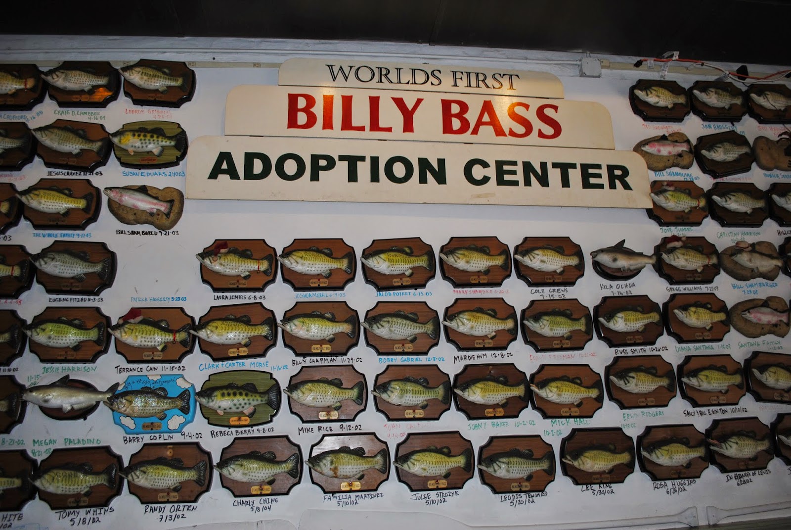 The Carpetbagger: Billy Bass Adoption Center