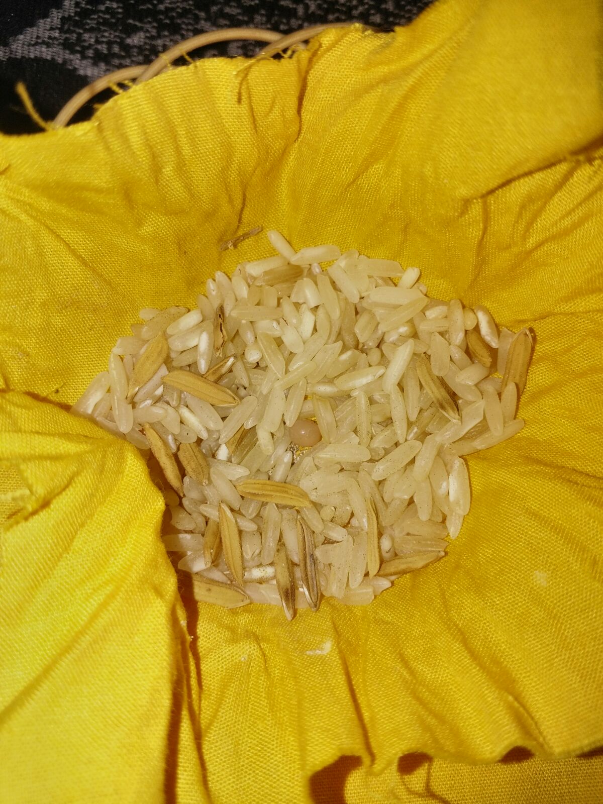 Koleksi Geliga & Khazanah Asli: Geliga embun putih susu