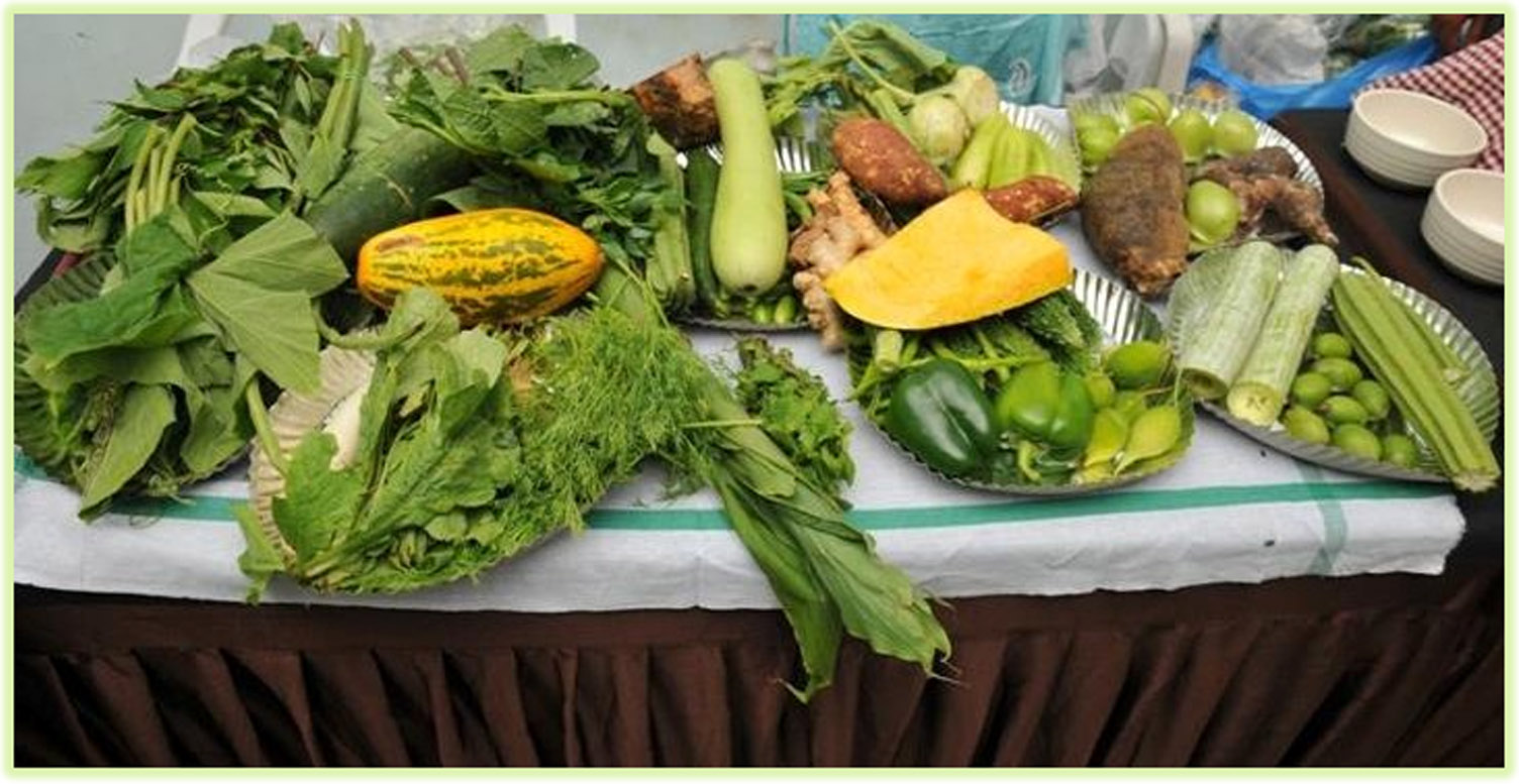 Urban Leaves India: World Kitchen Garden Day Celebration - 26th August 2012