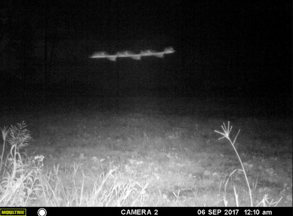 Please enable JavaScript