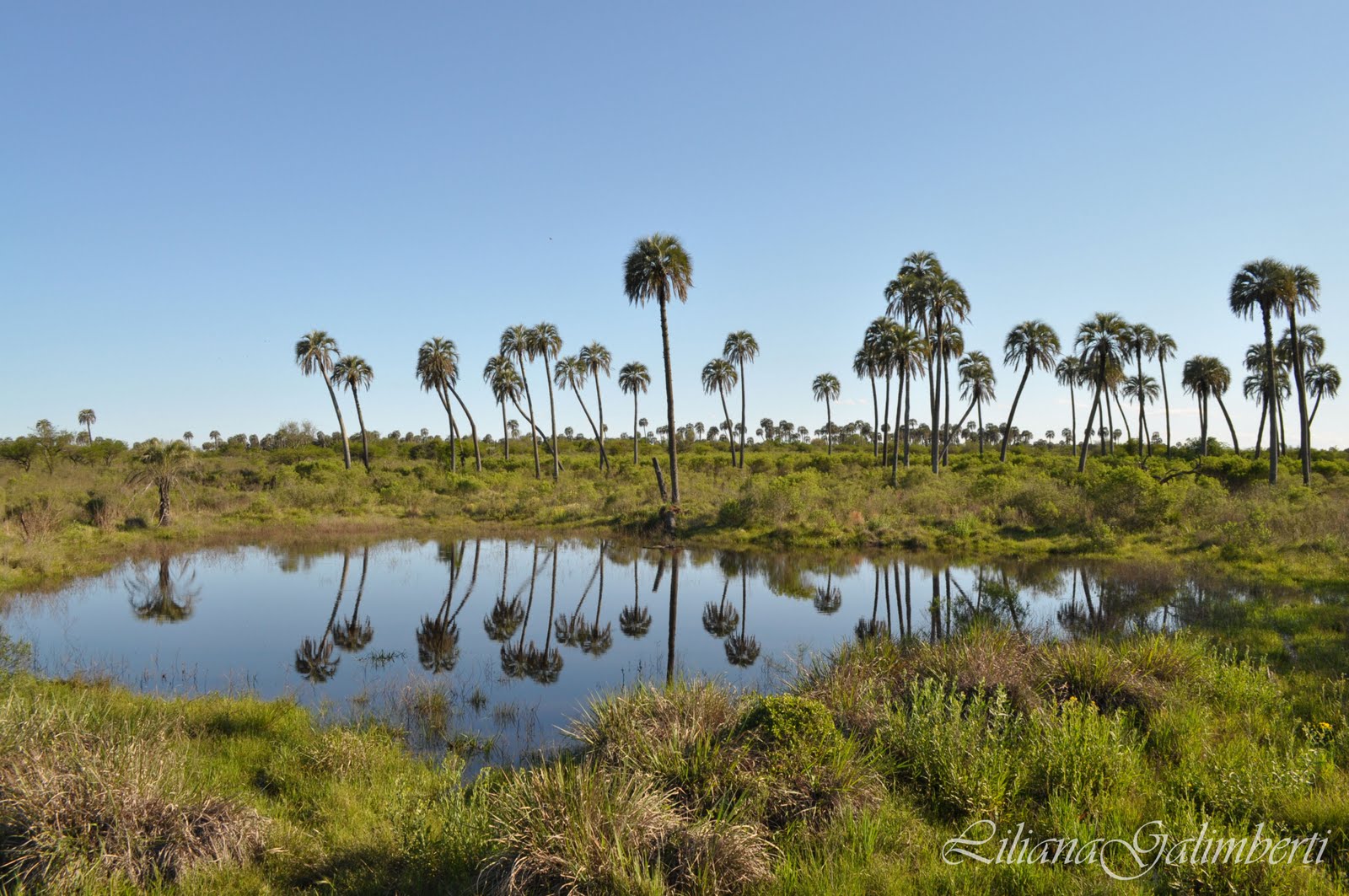 ARTE FOTOGRÁFICO: El Palmar de Colón, Entre Ríos, Argentina