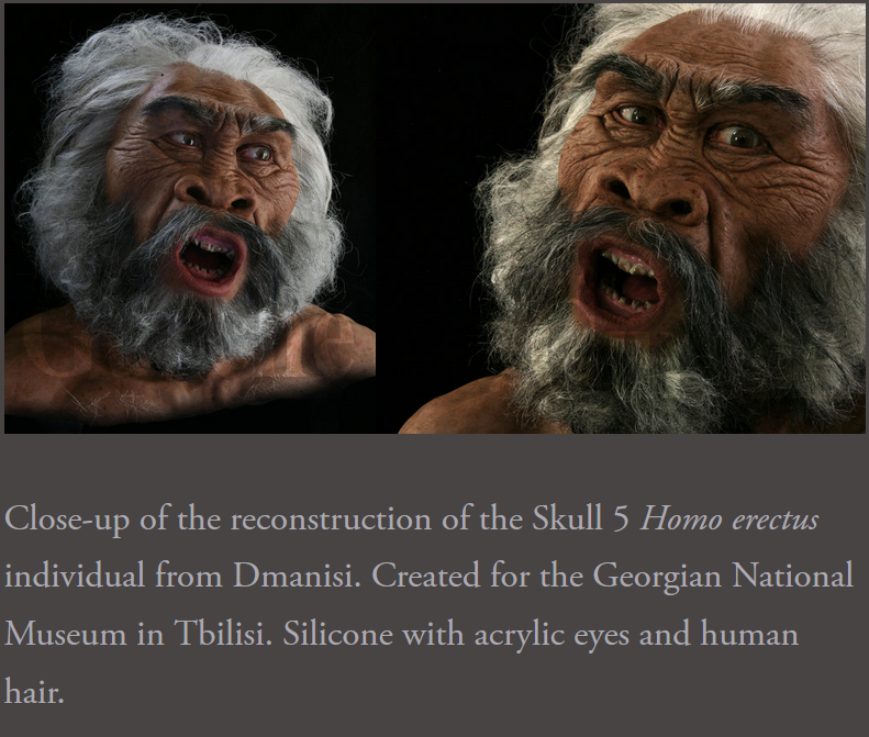 The Cephalic Investigation - Race Eugenics & Dysgenics - Race and Skull ...