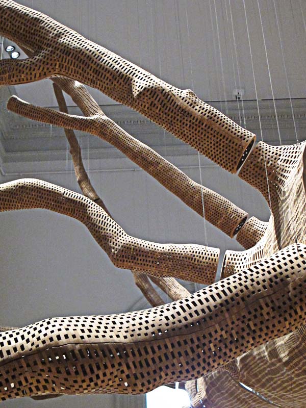 Jennifer Coyne Qudeen: WONDER - John Grade