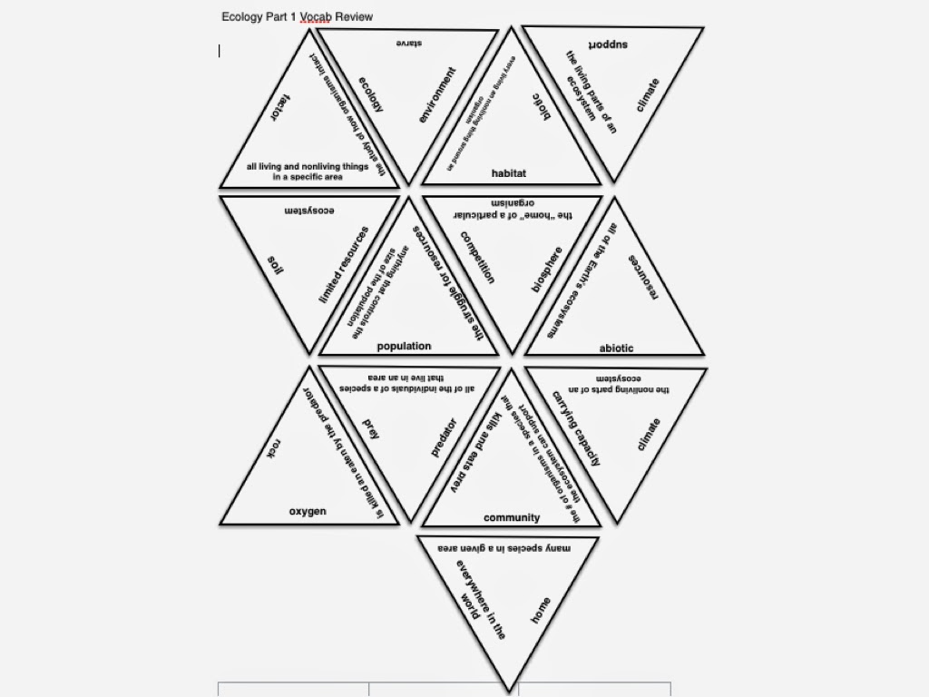 Vocab Review Template