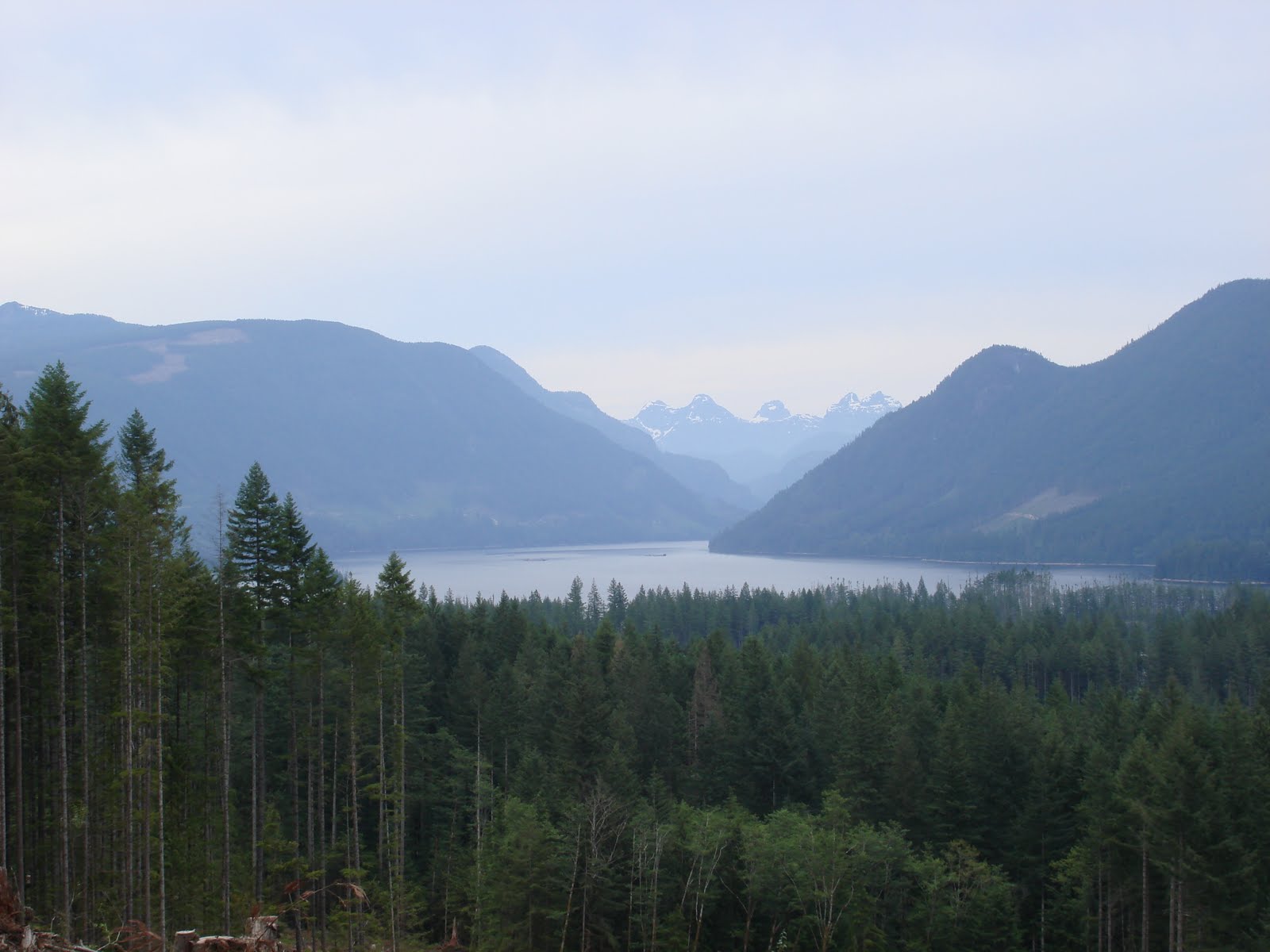 The fortunate fisherman: Lois lake net pens