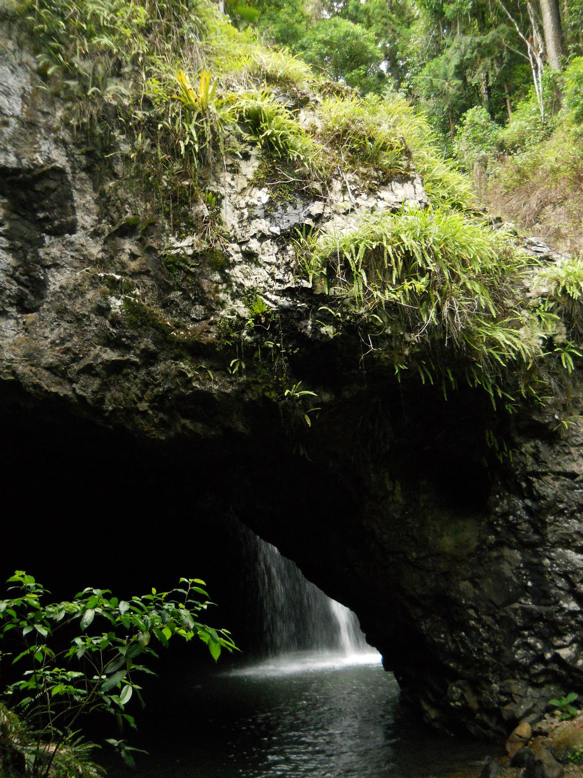 Knowledge Flocs: Wednesday Rocks: #3