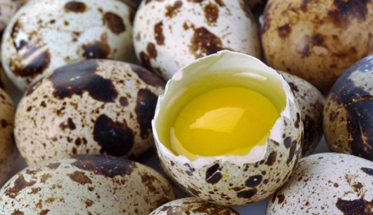 Telur Puyuh - Puyuh Ungkep