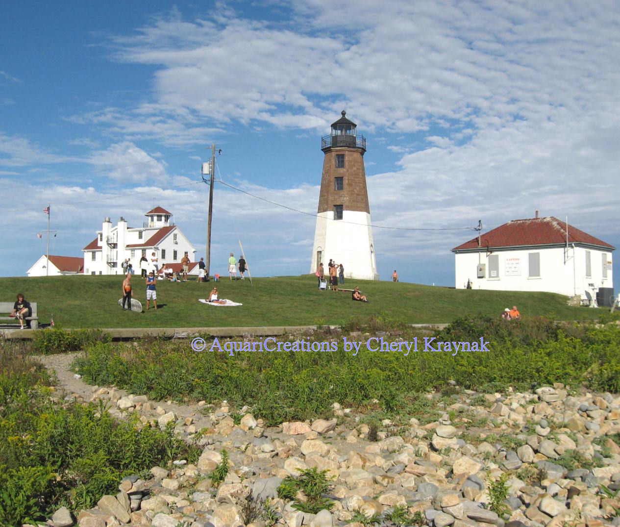 Windswept at the Beach: It was a Surf's Up! Sunday at Point Judith ...