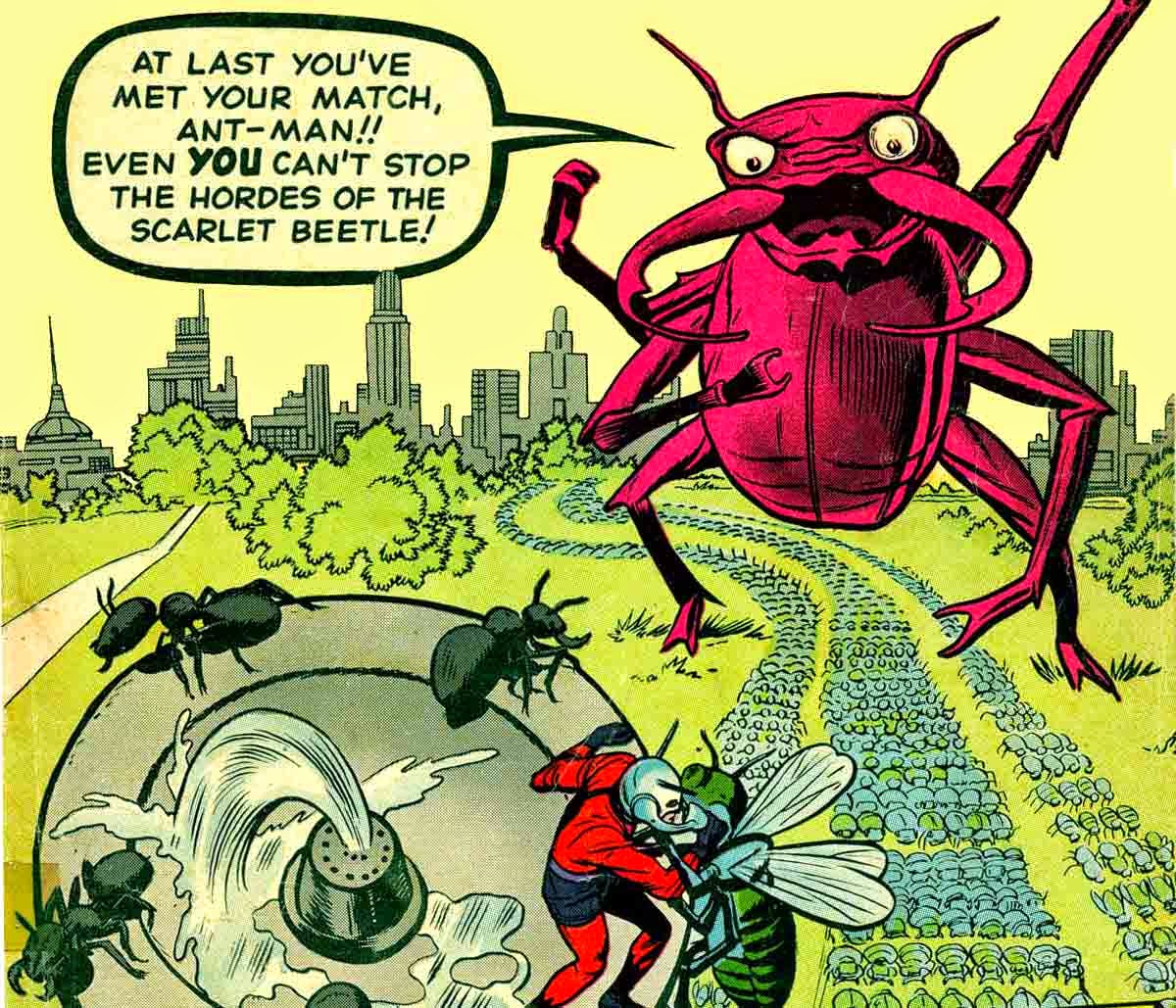 PALAEOBLOG: Insect Evolution Solved!