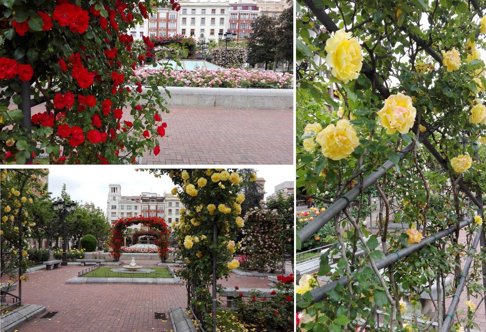 Señora Allnut: what I've been doing