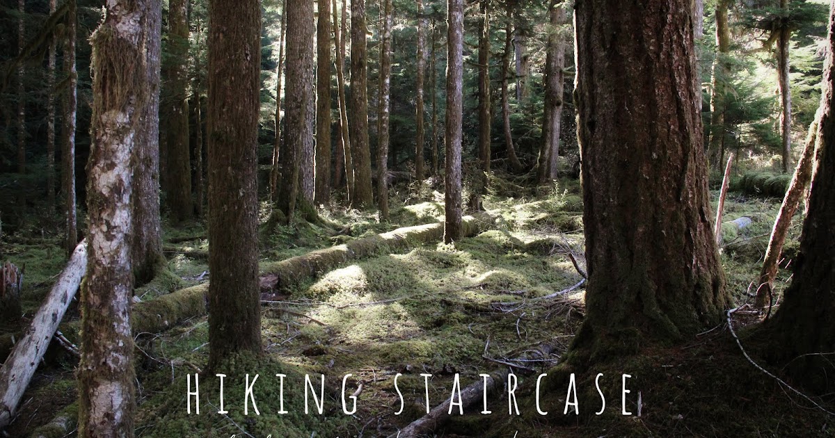 The Lovely Red Fox: Hiking Staircase — Olympic National Park