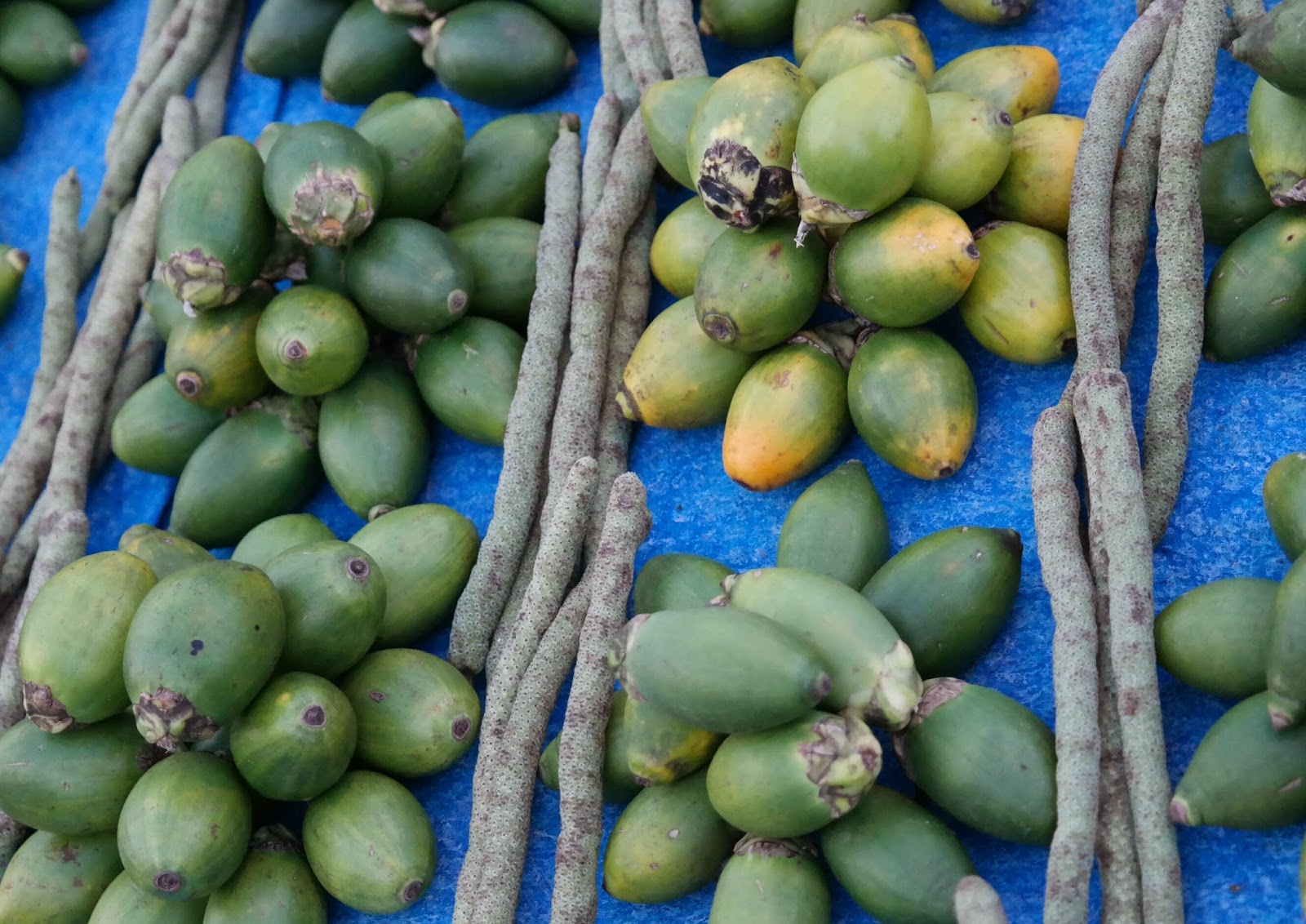 Aan's Diary: Kuliner Papua - Papua Culinary