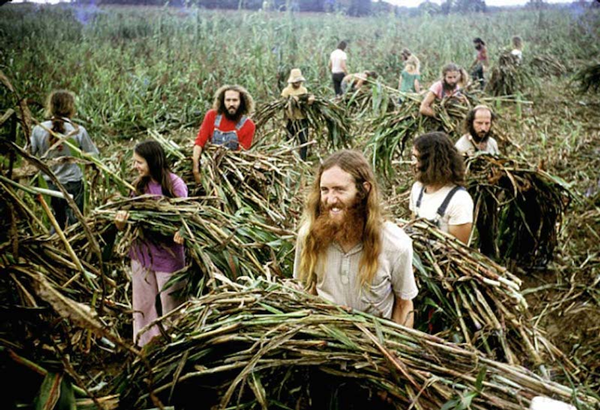 Let me tell you a story...: Happy Hippies (A picture tour to their origin)