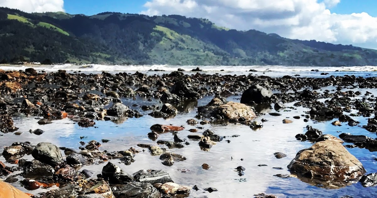 Outdoorsy Mama: Tide Pools on the Pacific. Northern California USA #travel