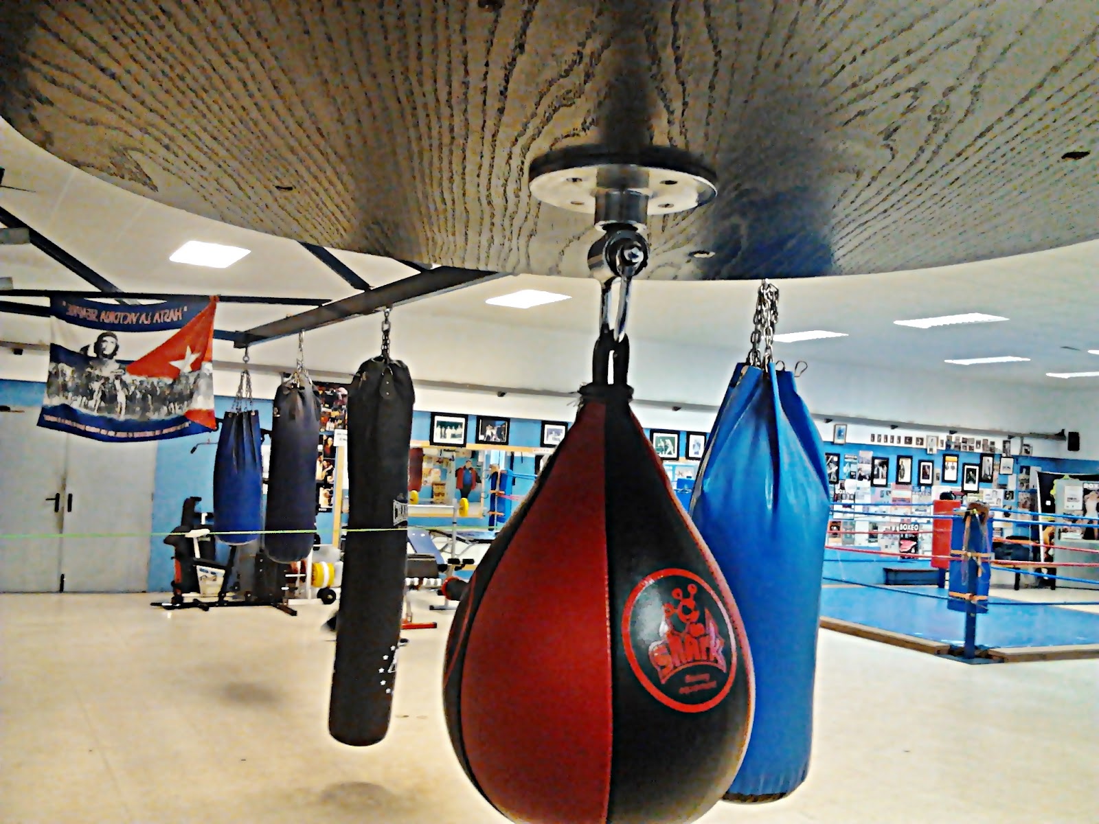 Gimnasio de Boxeo en Lugo: Boxing Club Cidade de Lugo
