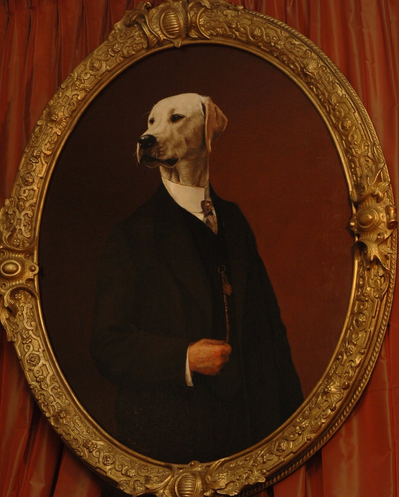 Le blog de Patrick Germain: "Les Aristochiens" de Thierry Poncelet