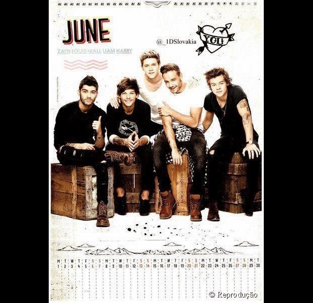 Viciadas por One Direction: Novas Fotos Calendários One Direction 2015