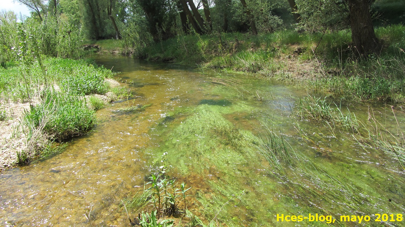 Huérmeces (Burgos): El río Brullés: de Fuencivil a Villasandino