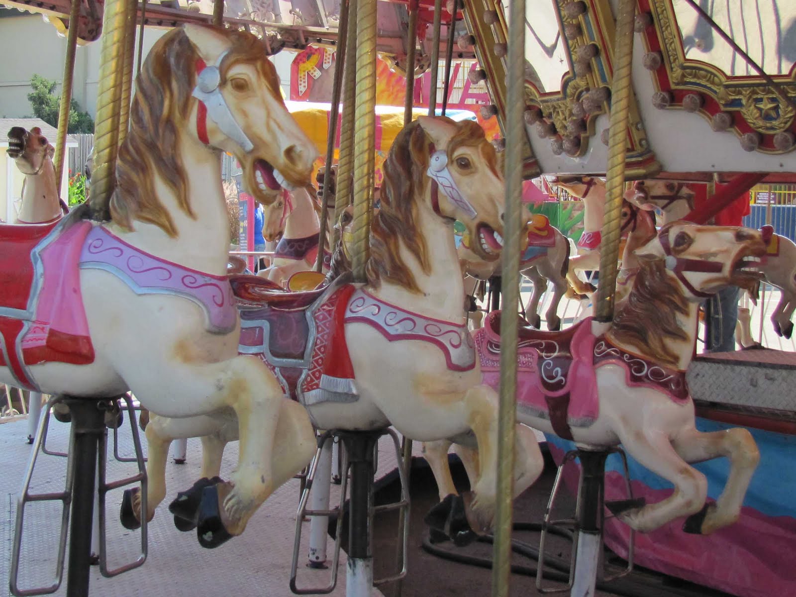 Speedway Daily Photo: Our State Fair!