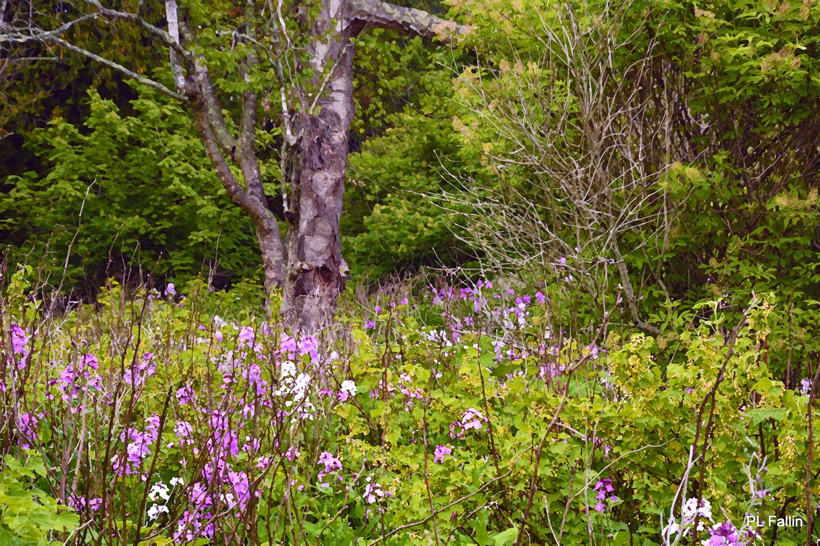 PL Fallin Photography: Chambers Island Lighthouse