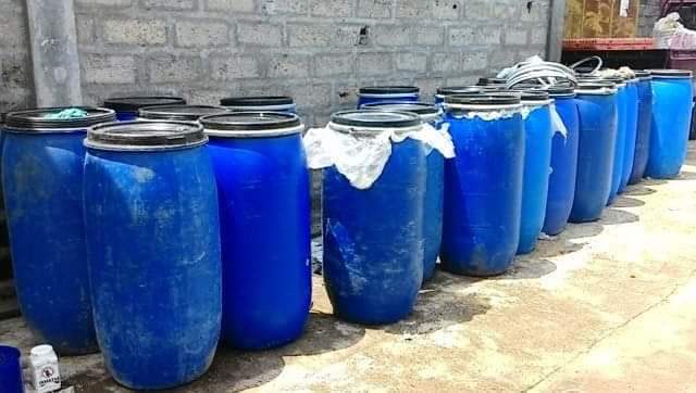 cara membuat pakan silase mudah lengkap - Elinotes review