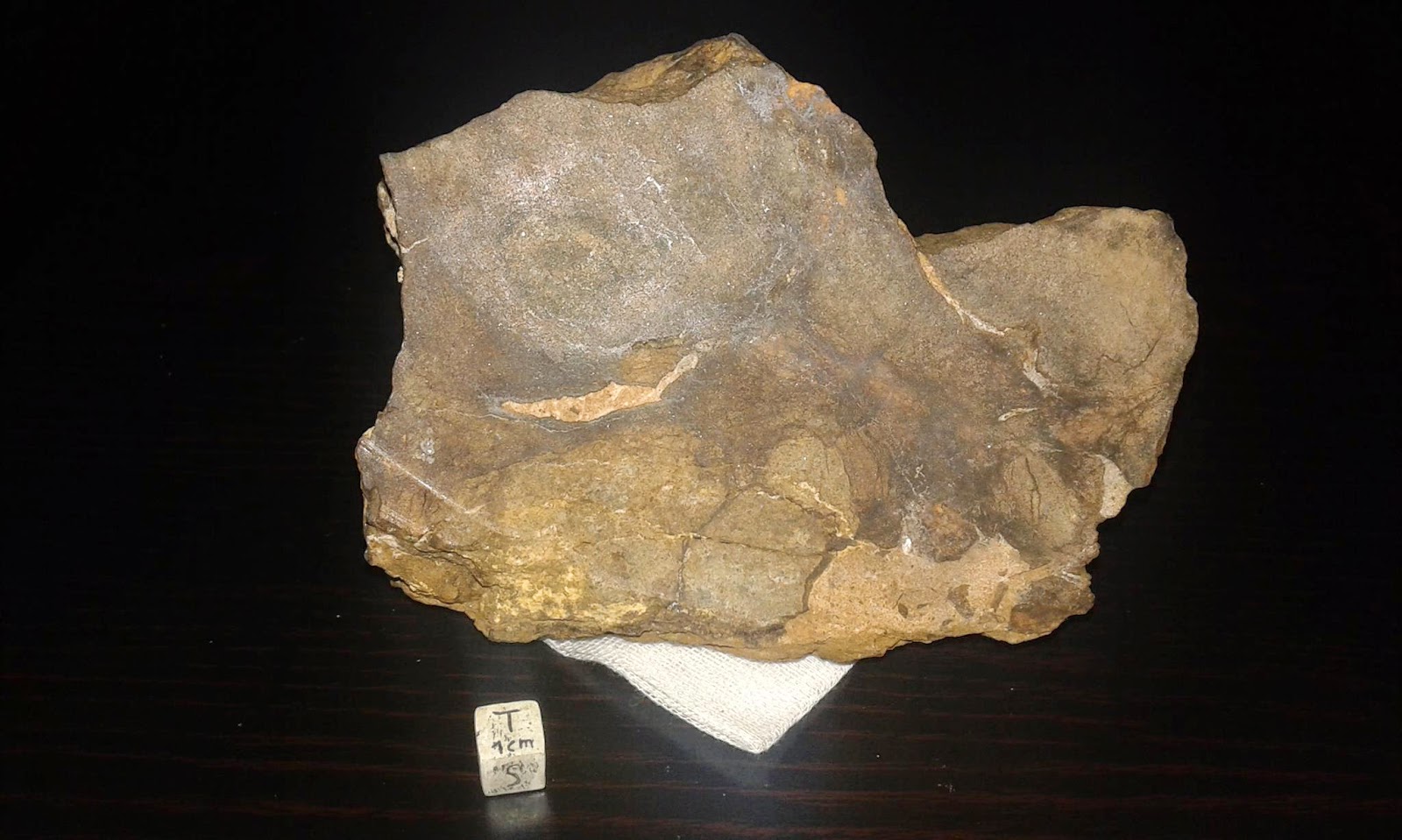 Meteoritos Canarias: El MUSEO CANARIO DE METEORITOS aumenta sus ...