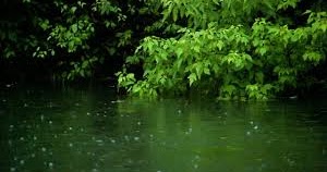 Life is Beautiful : The Rain