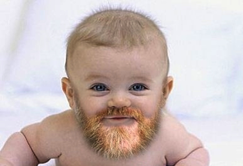 Bearded Babies