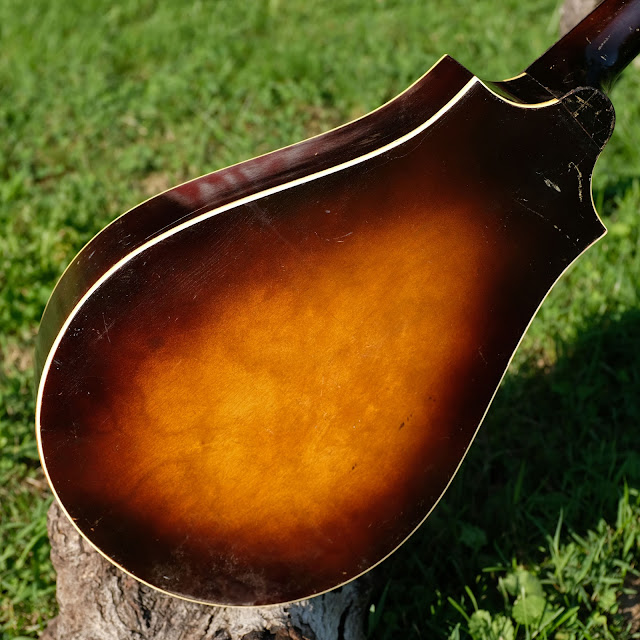1930s Regal Octofone Octave Mandolin/8 String Tenor Guitar