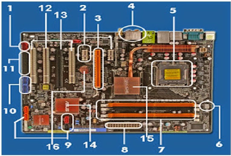 10 Bagian Bagian Motherboard Komponen Gambar Dan Fungsinya Images 10 Bagian Bagian Motherboard Komponen Gambar Dan Fungsinya Images