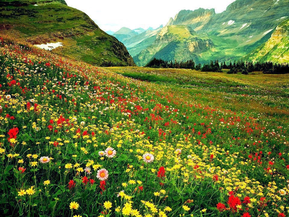 Sastavi iz srpskog jezika : Proleće u mom kraju