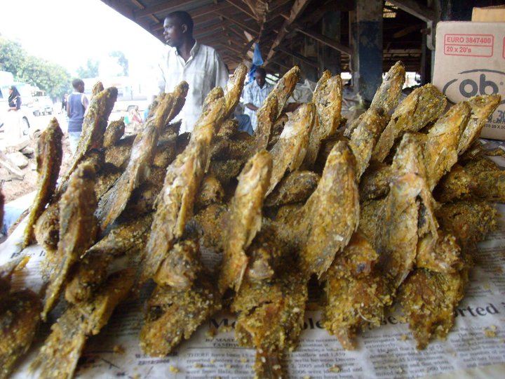 MOROGORO FAMILY - MOROGORO YETU: NGURUKA OYEEE!