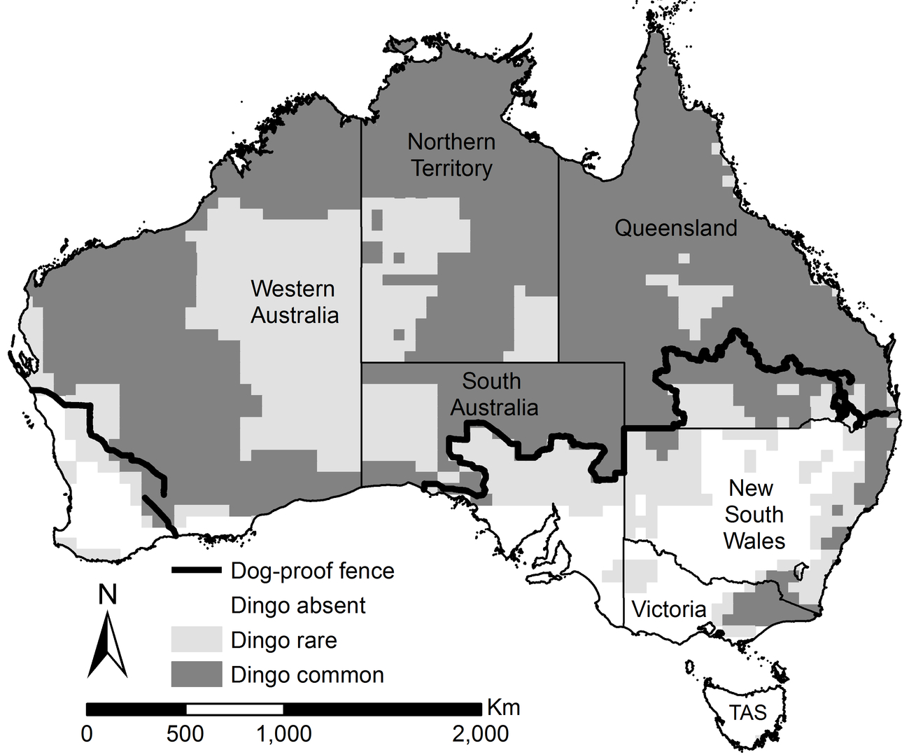 Map of the dingo fence in Australia - Vivid Maps