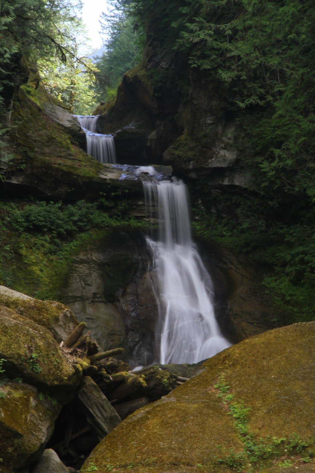 Serendipity and Orchids: Slide Mountain and Racehorse Falls