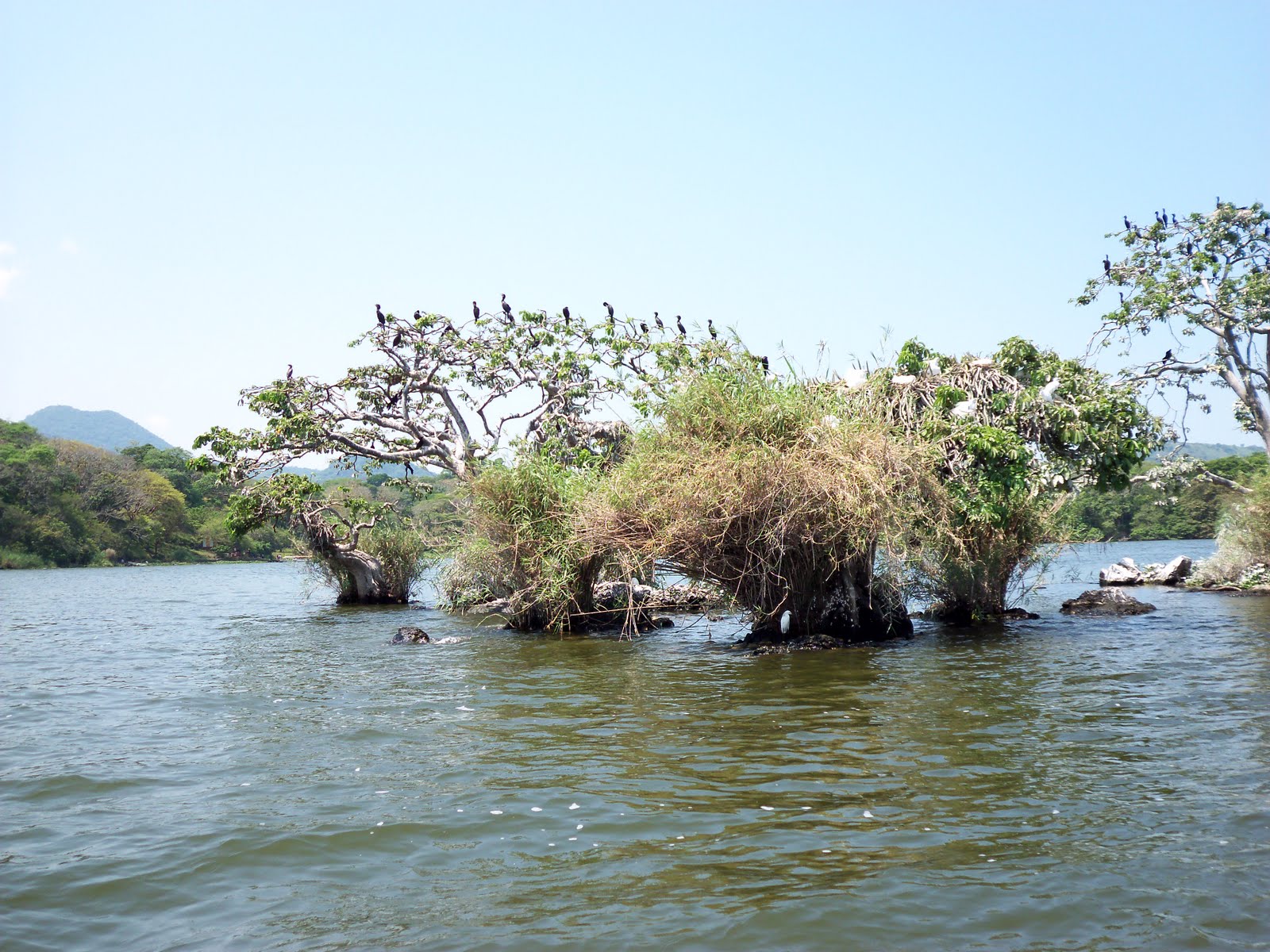 La Sierra Mágica de Los Tuxtlas.: La Isla de Las Garzas