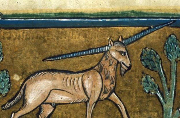 Grymvald Gazetteer: Flora & Fauna Friday - Carnivorous Plant Fossil ...