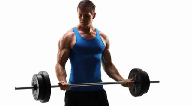 5 Mass Building Tips for Beginners