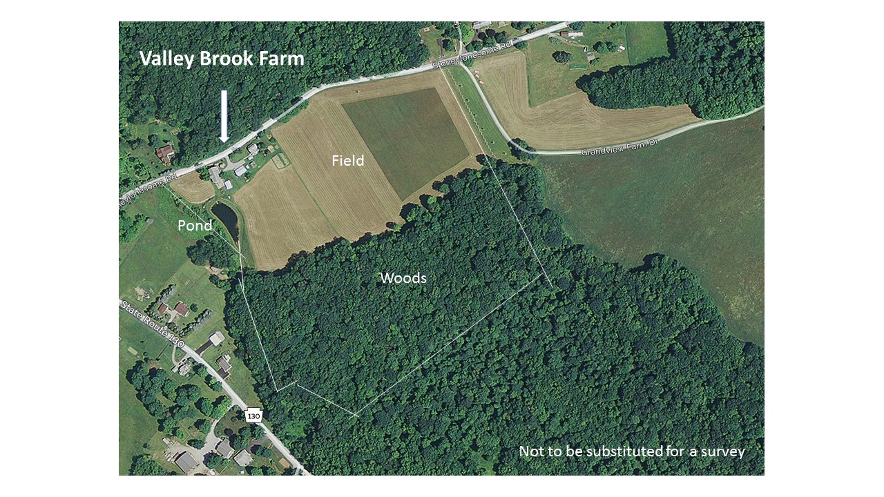 Valley Brook Farm: Views