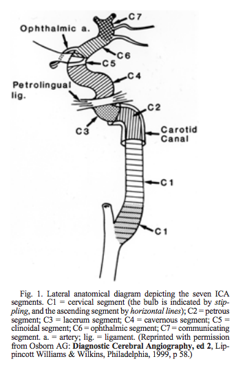 Ten Things That I Learned Today