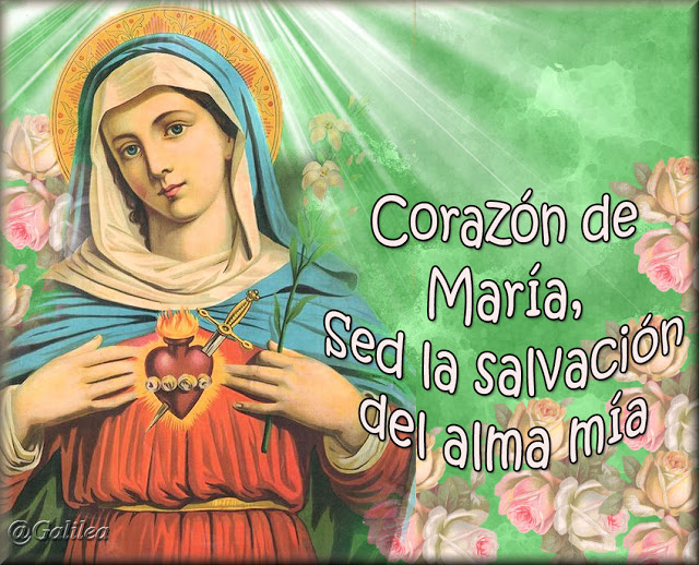 ® Virgen María, Ruega por Nosotros ®: IMÁGENES DEL CORAZÓN DE MARÍA