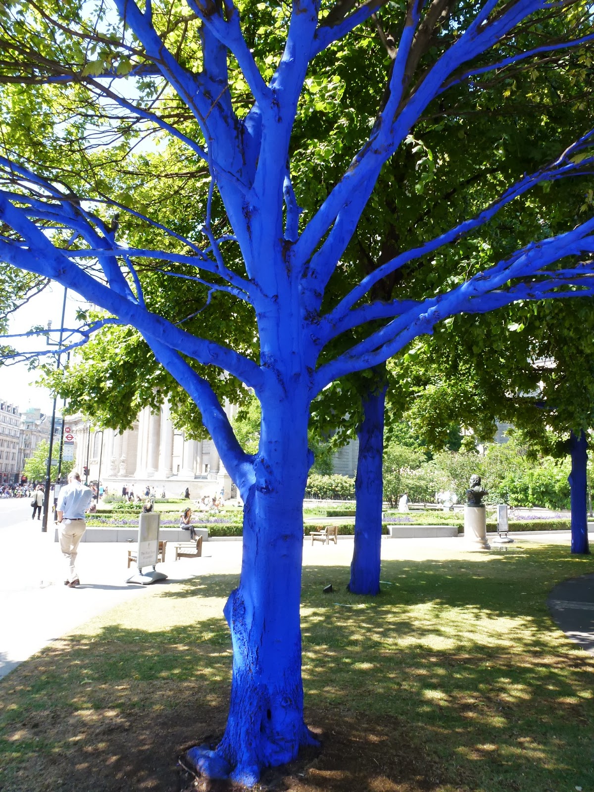 Grapefruit Moon: The Blue Trees